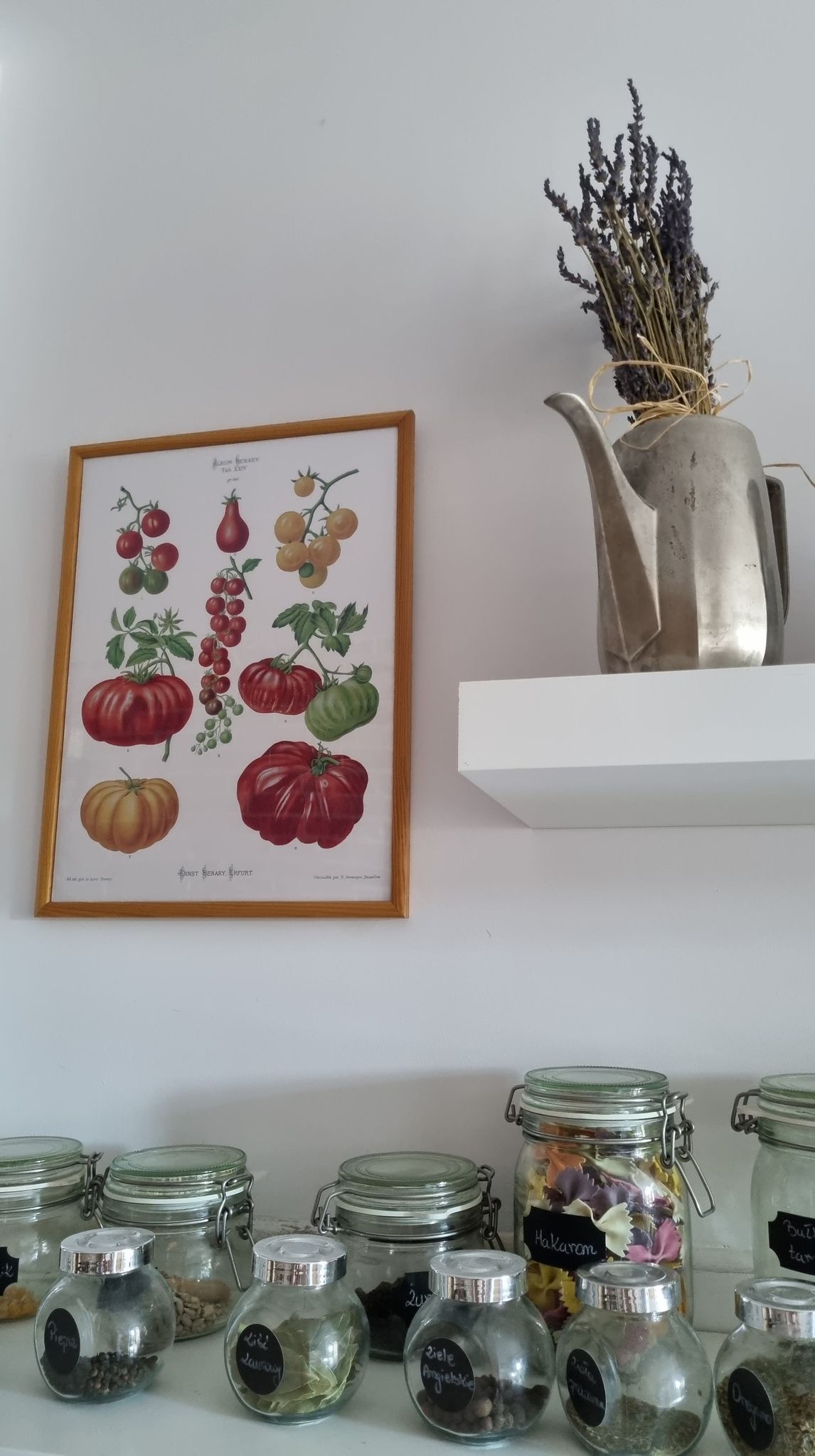 Botanika część II - Album Benary » Pracownia Grafiki Historycznej